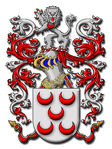 A queda da TORRE DE CHÃ - Solar medieval da família PINTO: ORIGEM DO ...