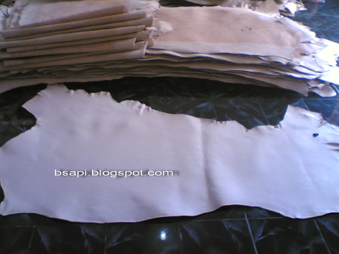 Bsapi: Jual Kulit Sapi Samak Nabati/Natural