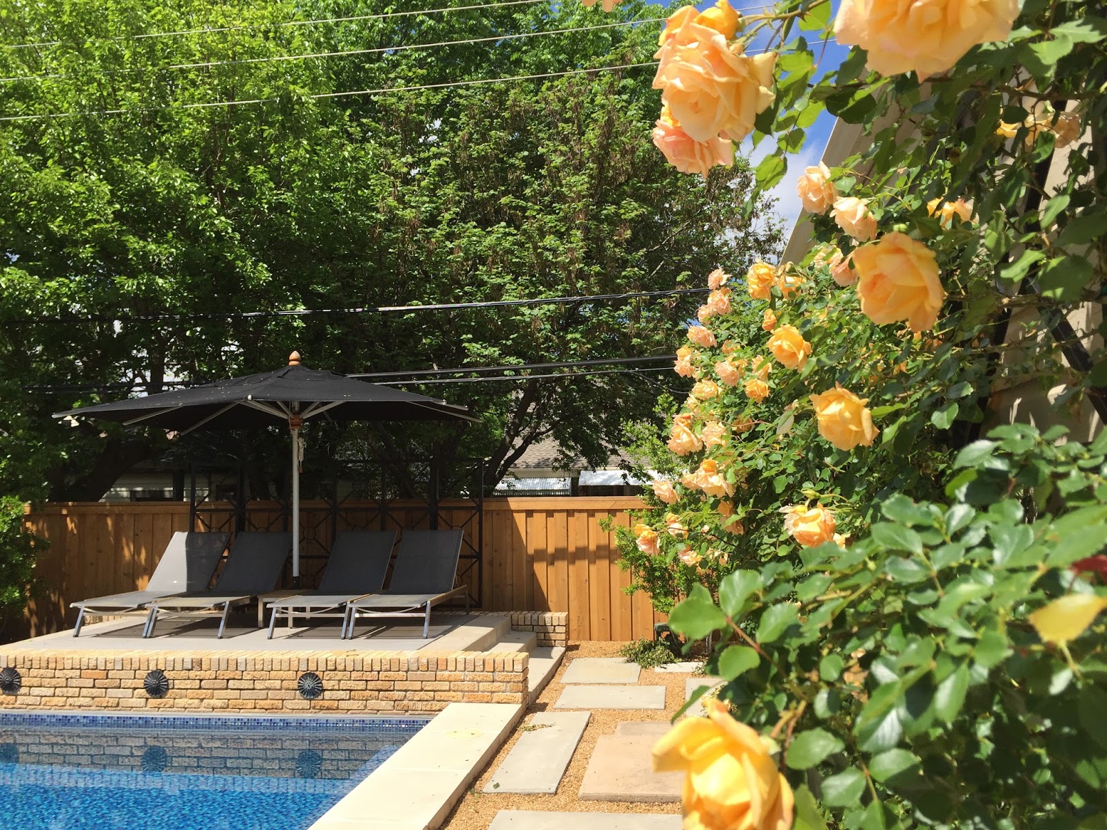 P O T A G E R: Magnificent Wrought Iron Rose Trellis