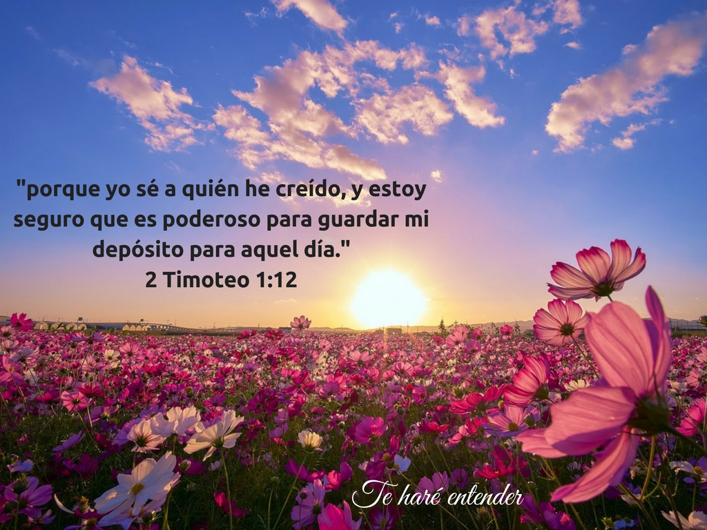 Te Haré Entender...: YO SE EN QUIÉN HE CREÍDO