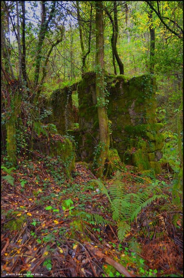 XOAN ARCO DA VELLA: MUIÑO GRANDE - RÍO GRANDE - CANS