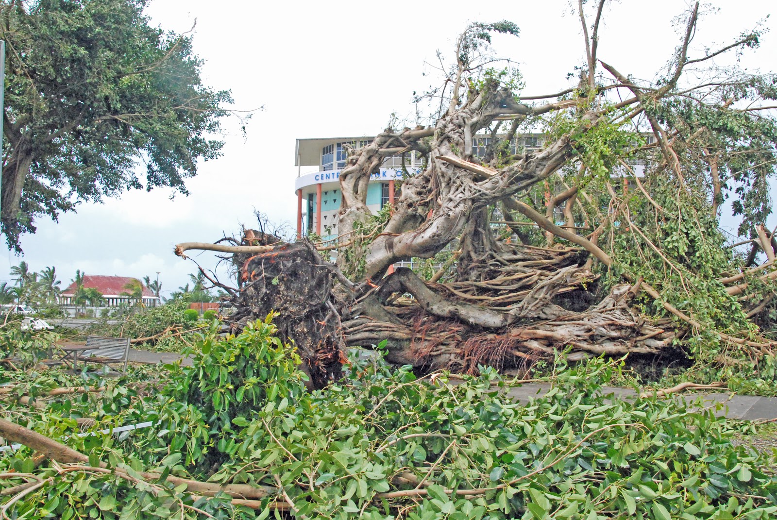 Reed and Nada Spencer: Cyclone Evan