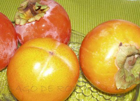 Bago de Romã: "Conhecer melhor"...o Dióspiro!!!