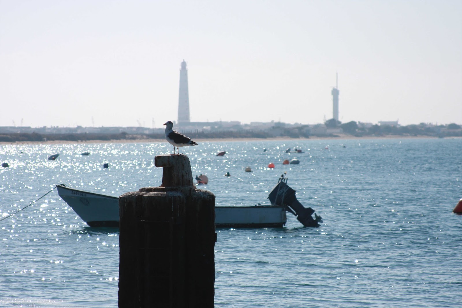 The Wanderer's Chronicles: Chronicles from Algarve | A Cruise in Ria ...