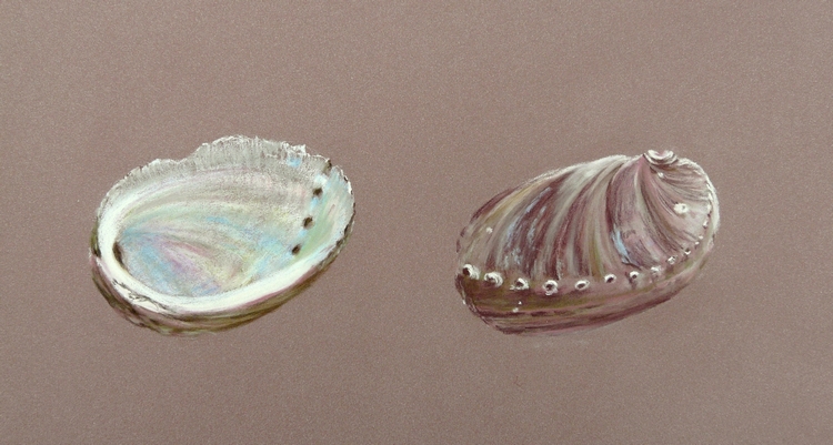 Voyage au coeur des pigments: Oreilles de mer, pile ou face