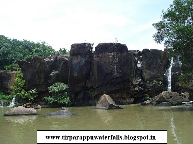 Tirparappu Water Falls: Falls Image