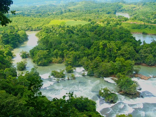 BiOjUnKiEs: La Selva Lacandona