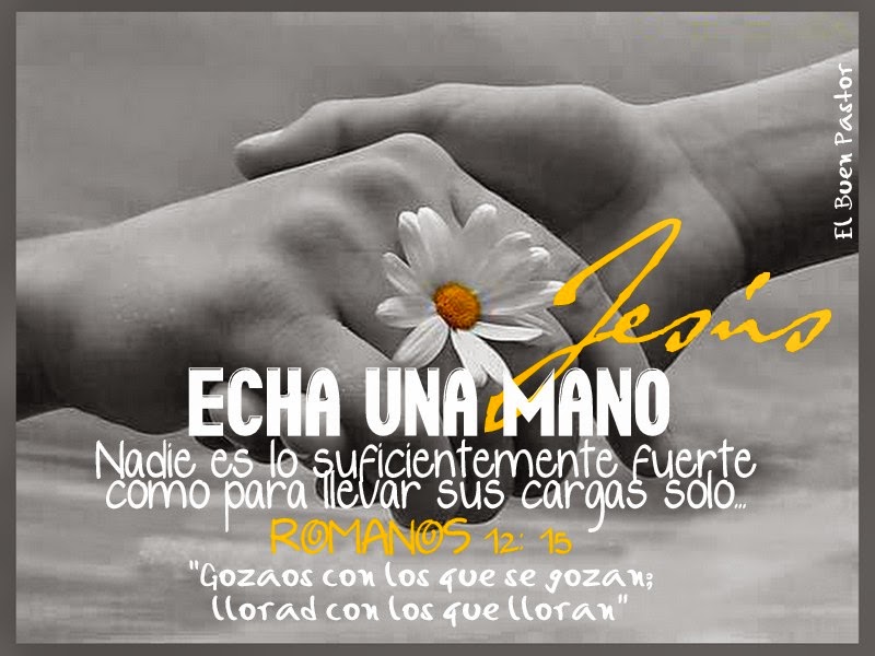 YO SOY EL BUEN PASTOR: Romanos 12:15