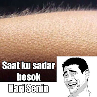 Kumpulan Gambar Meme Besok Hari Senin - Gambar Lucu Terbaru