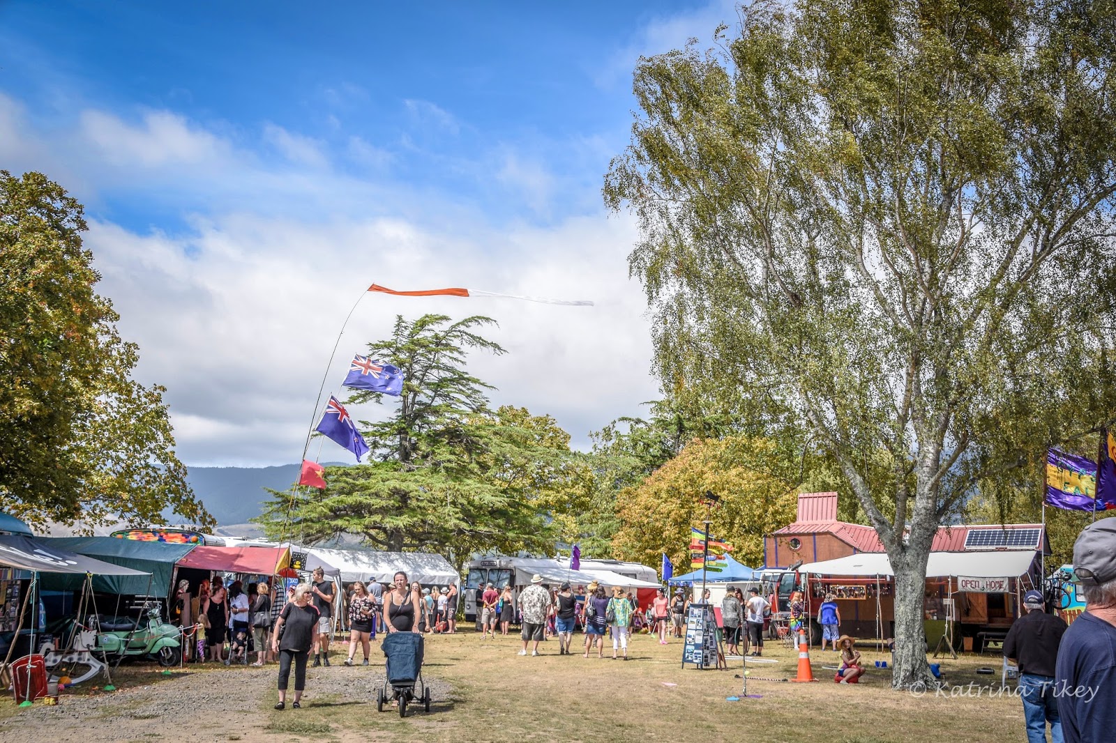 Paws Awhile: The Original Gypsy fair