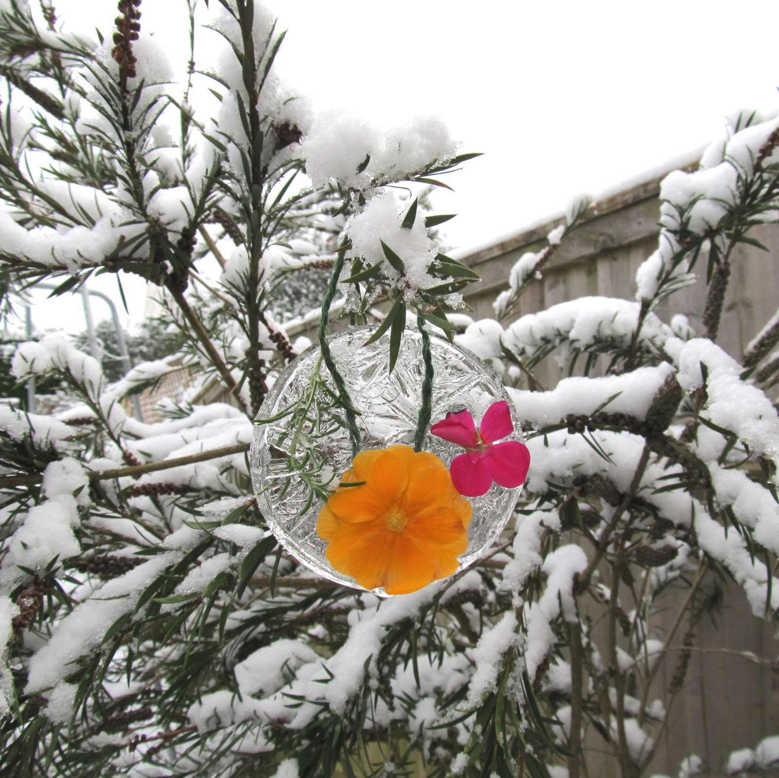 My life and a bead box: Ice Flowers