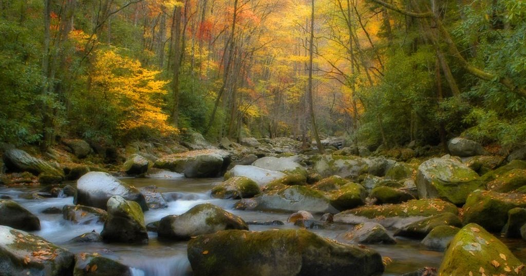 Nature Pictures: Nature Image Dwonlod