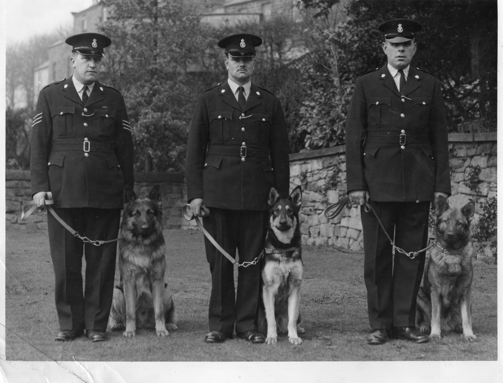 UK Police Dog history: Derbyshire Police Dogs