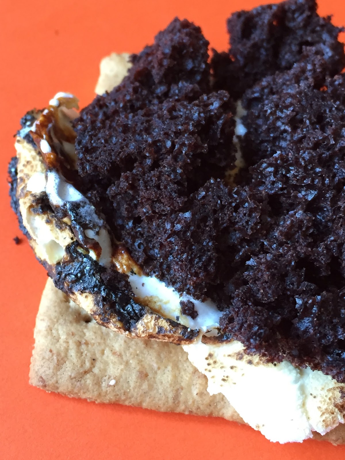 Mini Monets and Mommies: Spooky S'mores Halloween Treat