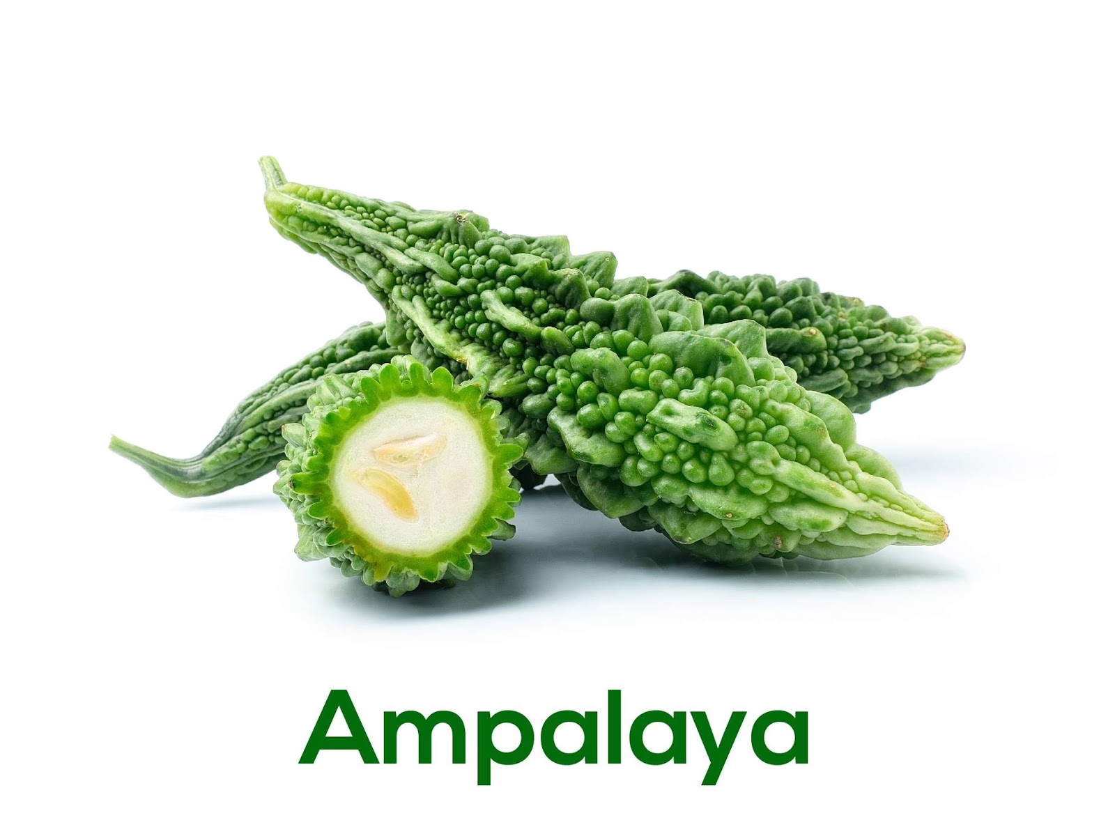 ampalaya plant - philippin news collections