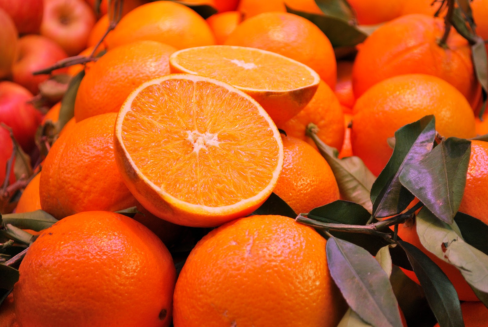 What to do in Valencia in 48 Hours | Memories of the Pacific