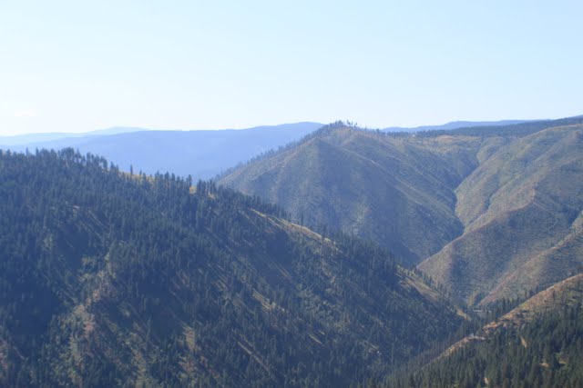 High Hopes: Camas Prairie to the Nez Perce National Forest ...