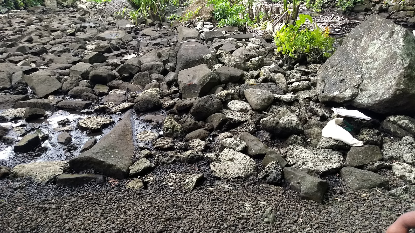 Field trip to Leluh ruins to gather GPS data