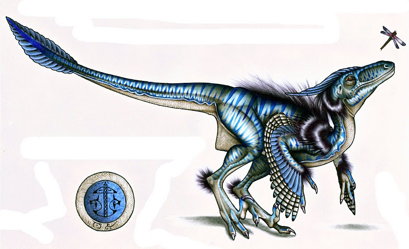 paleoarte: III Concurso de Ilustración Científica de Dinosaurios 2011.