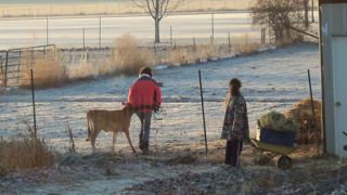 Family, Food, and God: Morning Dragging