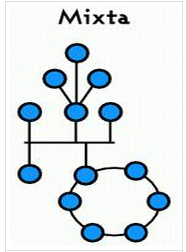 Sistemas De Comunicaciones: CLASIFICACIÓN DE LAS REDES
