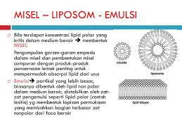 Fungsi Struktur dan formasi Micelle