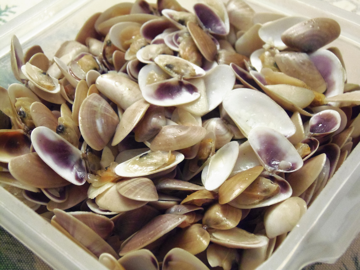 Vamos pá mesa: Delícias algarvias