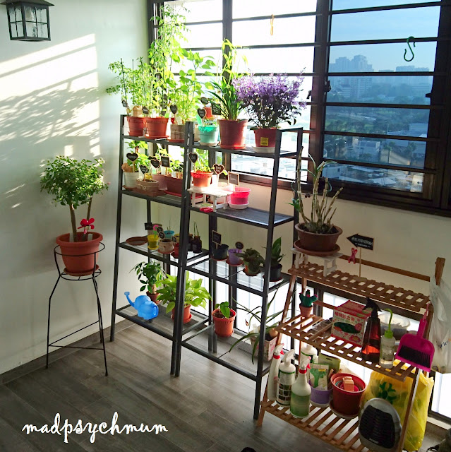MadPsychMum | Singapore Parenting + Travel Blog: Our HDB Garden (1 ...