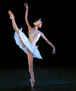 Adrienne's Corner: Ballet dancers...