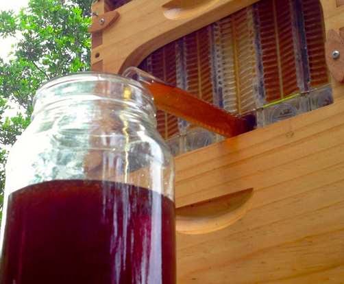 Luis Manuel: Honey on Tap: A New Beehive that Automatically Extracts ...