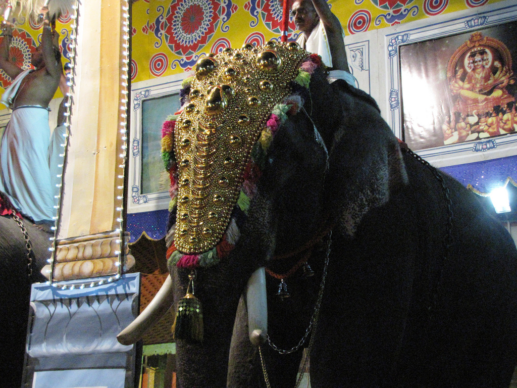 Thirunakkara Pakalpooram 2012 ~ Sandeep