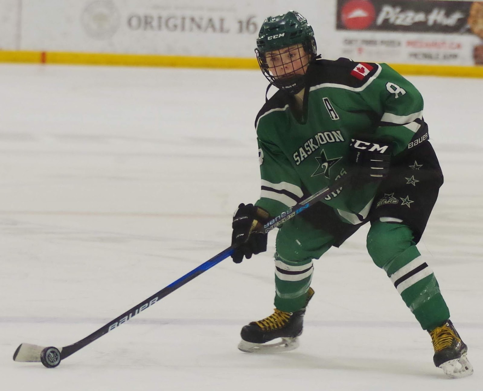 Stanks' Sermon: Wildcats stand in Stars return road to Esso Cup