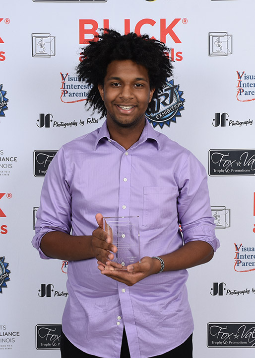 Downers Grove North Fine Arts: DGN Visual Artists Garner Six Awards at ...