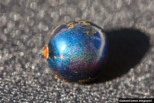 Pollia Condensata Buah Yang Mampu Bersinar Tanpa Bantuan Cahaya ...