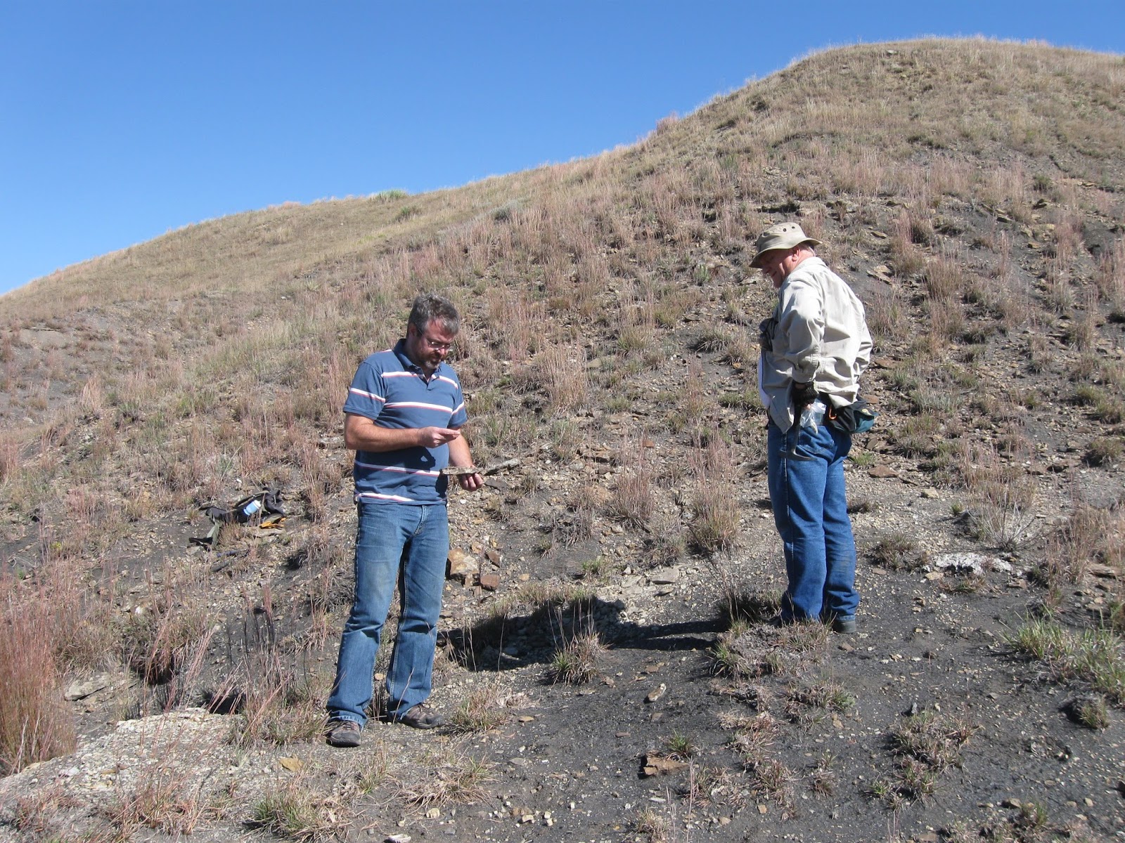 The Kansas Outback: Fossils--sixth in a series of the eight natural ...