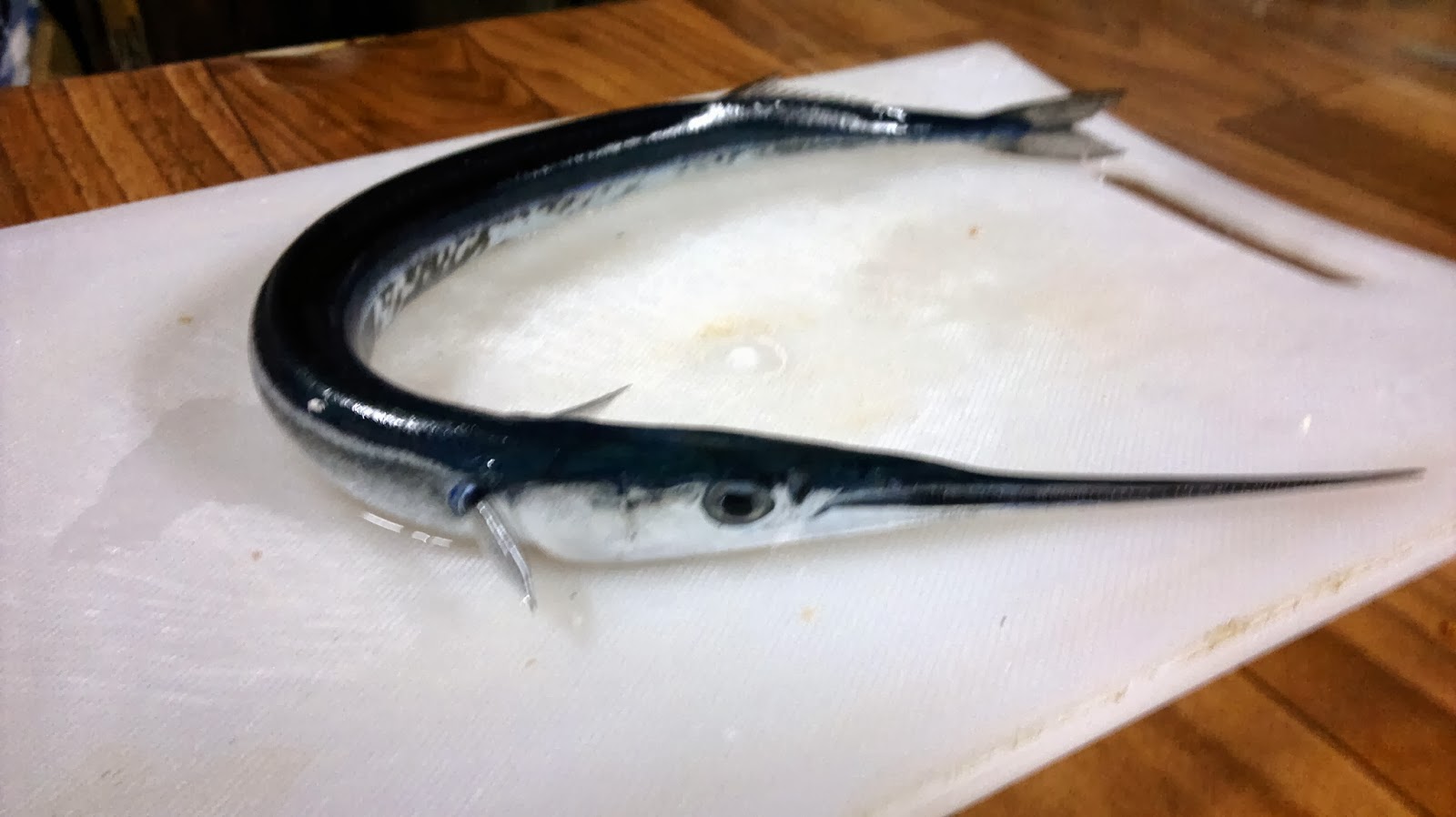 Sihirli Oklava Mahate: ZARGANA TAVA