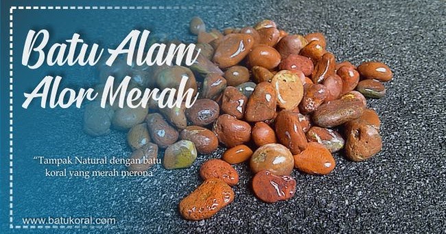 KORAL ALOR MERAH JUAL DI JAKARTA-BOGOR-DEPOK-TANGERANG-BEKASI ~ JUAL ...