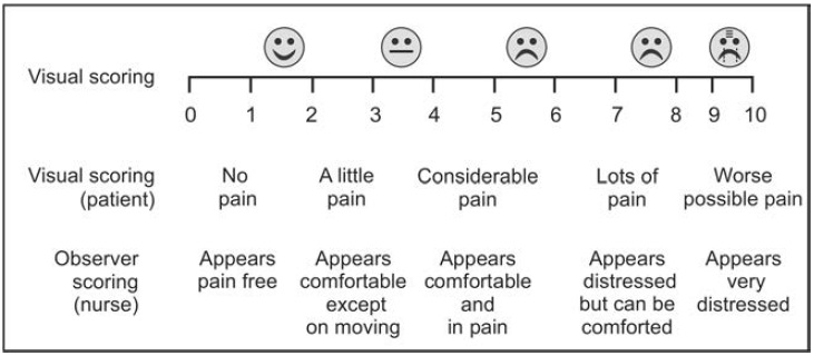 Treatment of Pain in Children. Pain Scales.