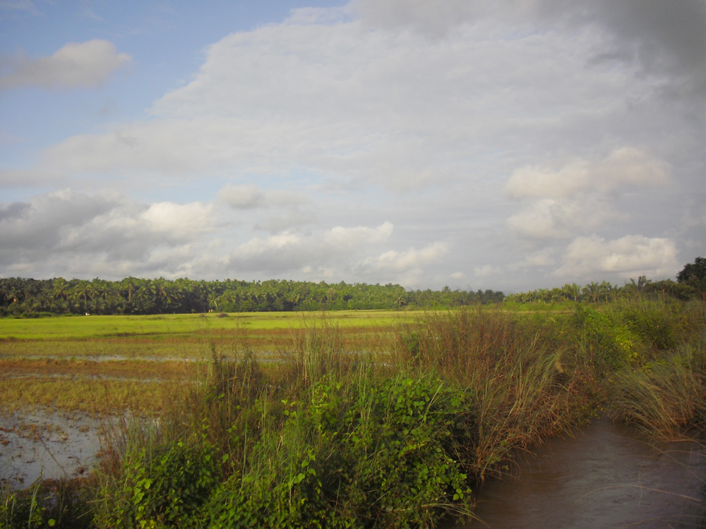 എയ്യാല്‍: Ona Kaalam