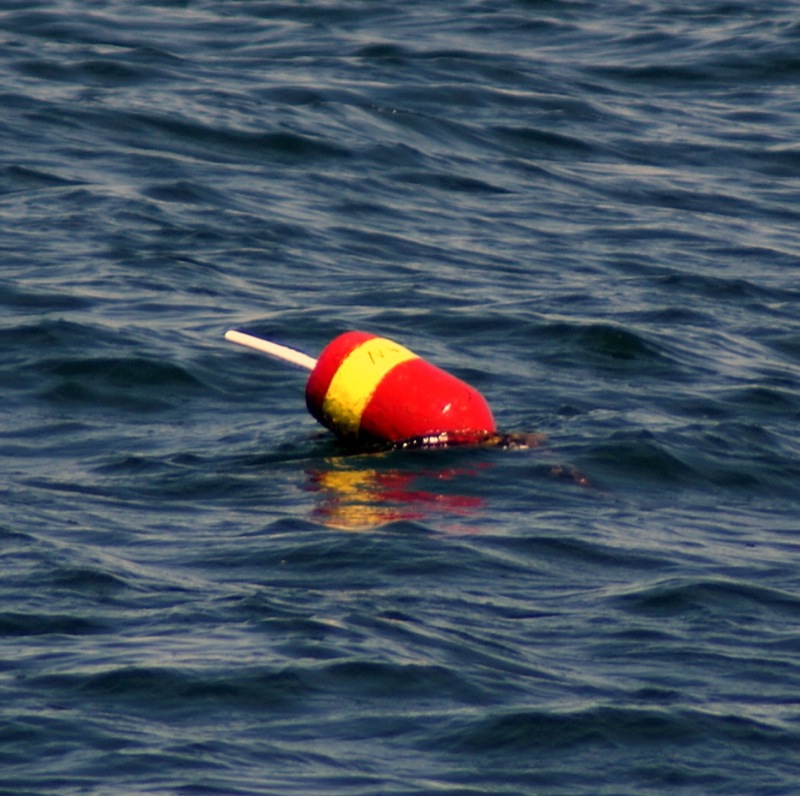 Life in the Slow Lane (The Pearl): Lobstering 101...History, Pots and Buoys