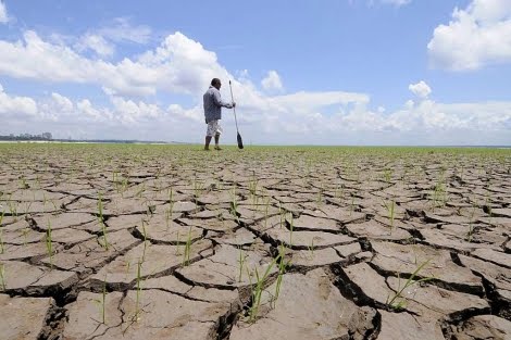 LA GEOGRAFIA: La sequía en el Amazonas, visible desde el espacio.