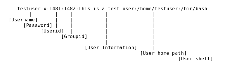 Etcpasswd File In Linux Explained With Examples