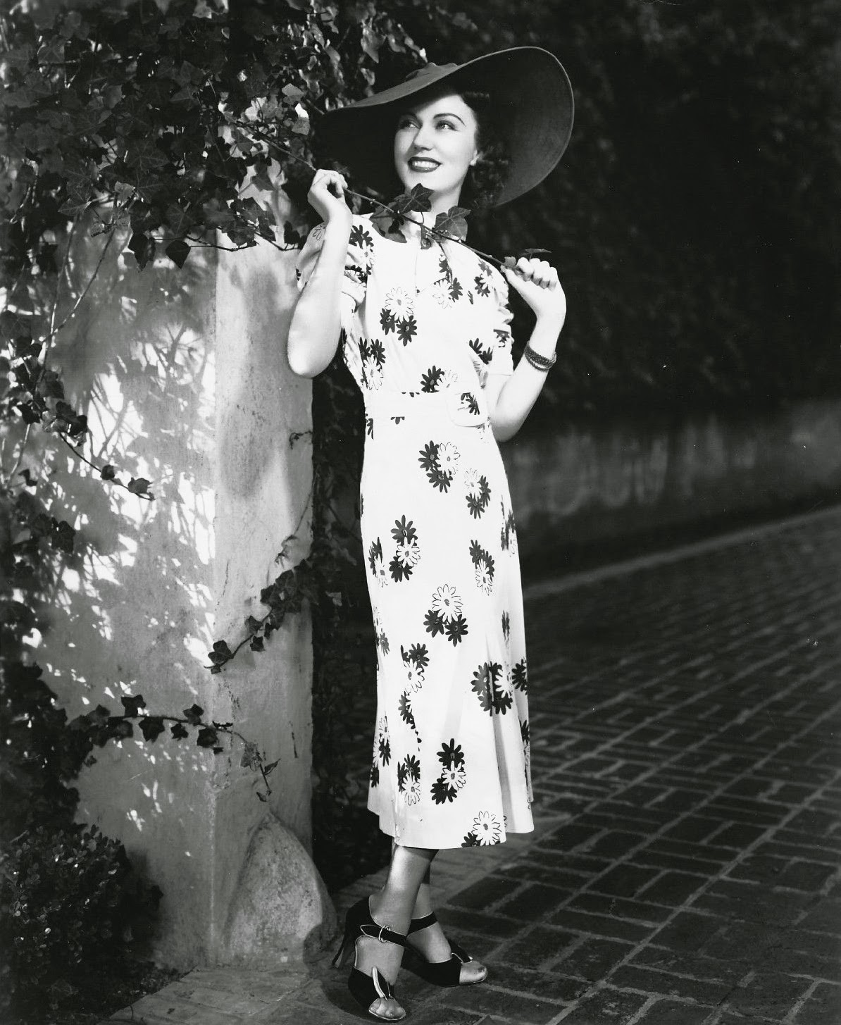 Slice of Cheesecake: Fay Wray, pictorial