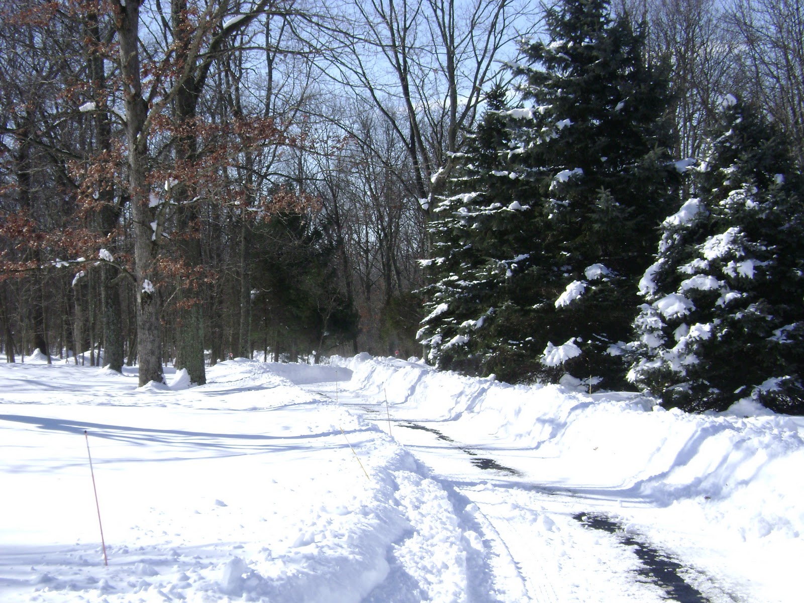 begin...begin again: what is winter without snow?