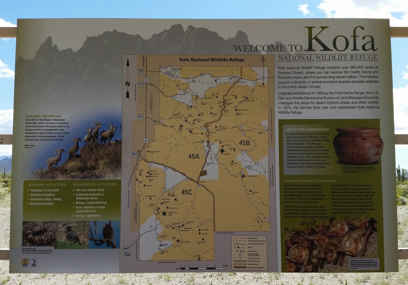 Celebrating the Dance : Q Mountain and Kofa National Wildlife Refuge