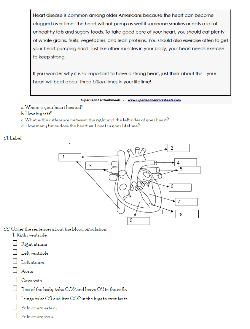 Natural Science 6 grade: 4. CIRCULATORY SYSTEM