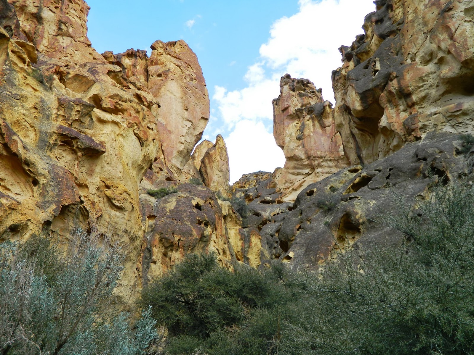 Living in Idaho: Juniper Gulch at Leslie Gulch Area