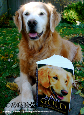 Pure GOLD Book - Golden Woofs