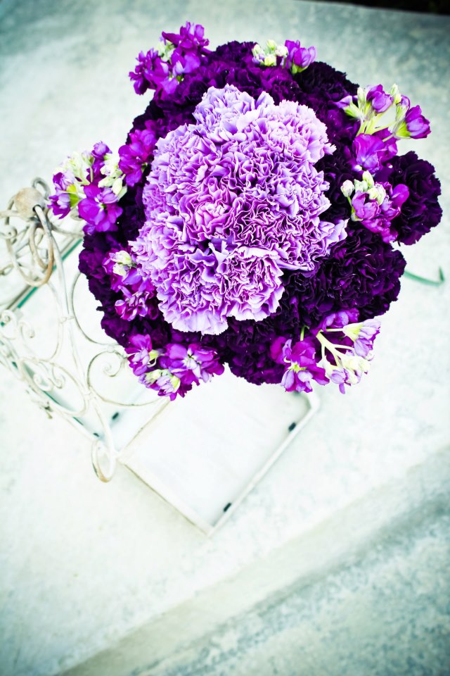 Scott Leathams's Photography