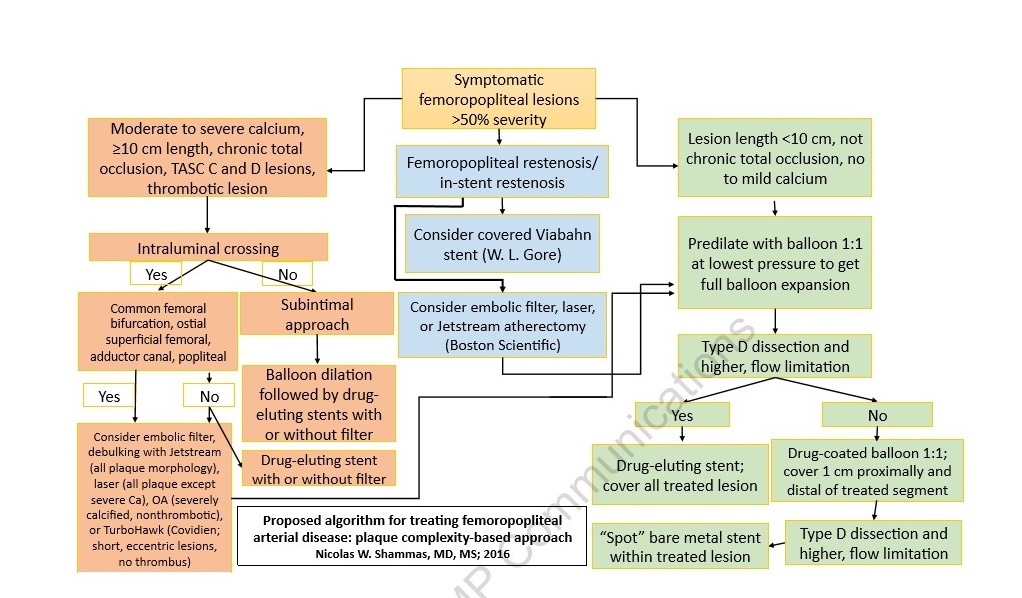 Vascular Mind : An Algorithm-Based Approach to Optimize Endovascular ...